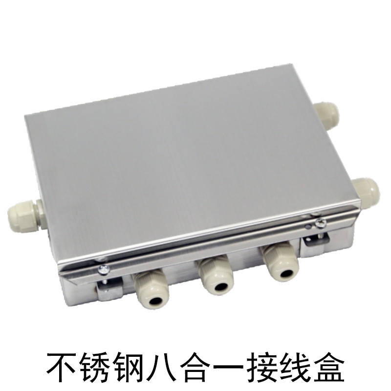 Dayang Multi-Channel Weighing Junction Box Ground Pound Measurement ...
