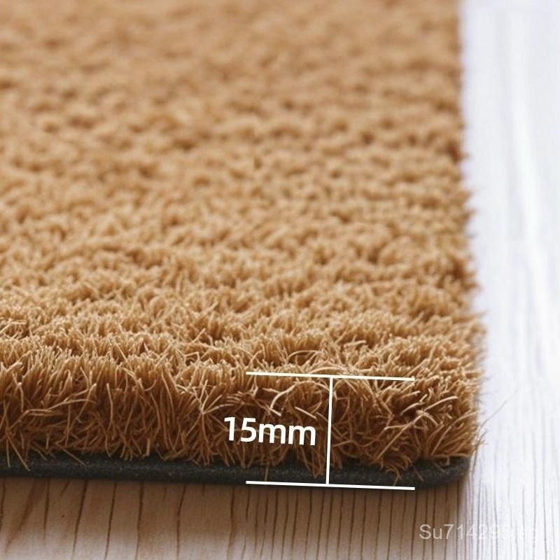 Doormat Carpet Coconut Palm Silk Palm Coconut Silk Entrance Coconut ...