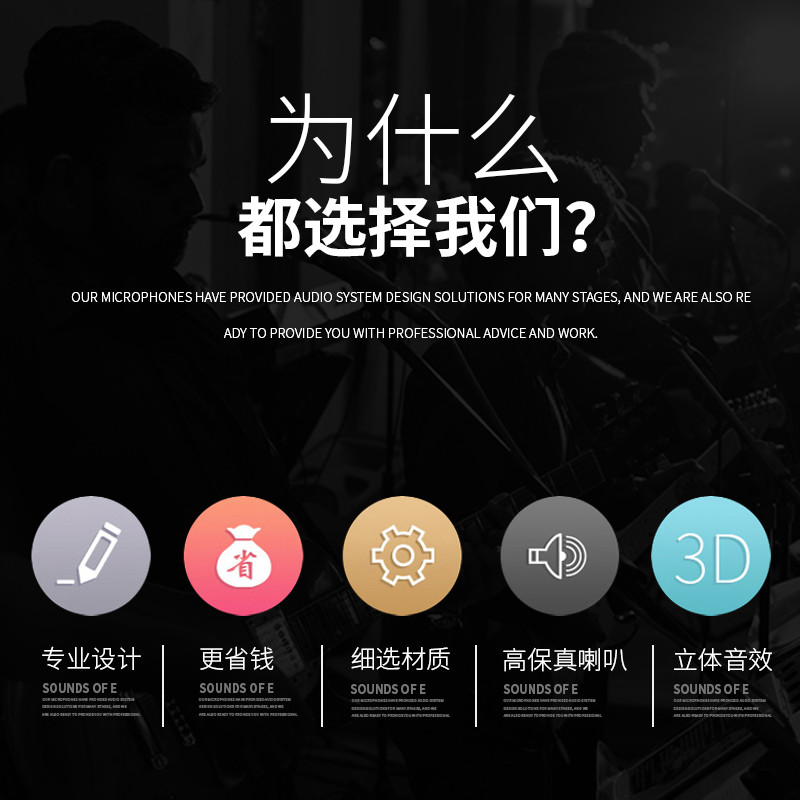 Schuer One for Four Wireless U-segment FM Conference Microphone ...