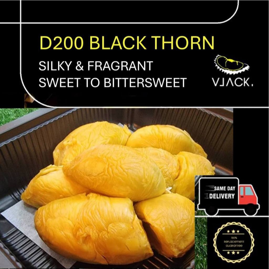 [Same Day Delivery] D200 Black Thorn (3 x Boxes) (500g Each Box) Old ...