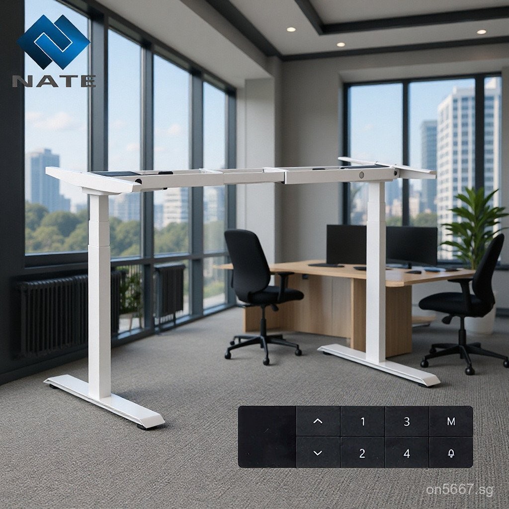 Study Computer Desk Double Motor Modern Adjustable Desk Frame Light ...