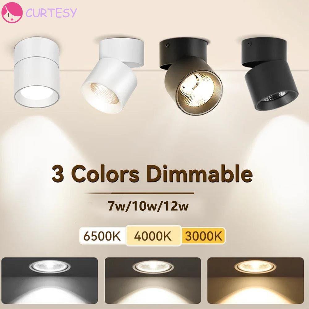 CURTESY Led Down Light, Surface Mounted Adjustable Angle Led Spotlight ...