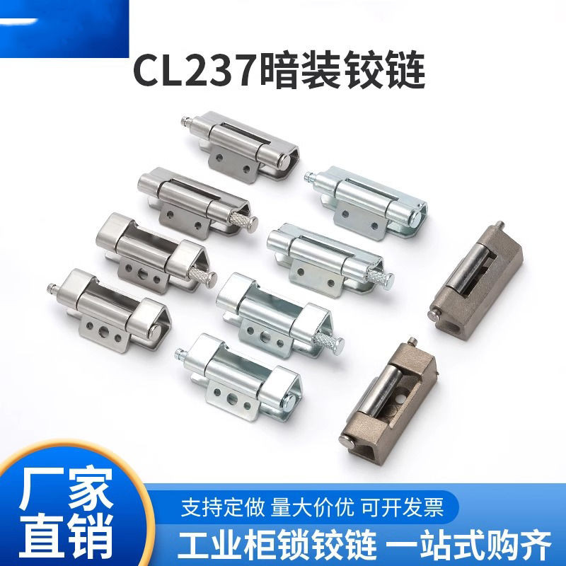 CL237-1-2 Distribution Box Cabinet Hinge Stainless Steel Concealed ...