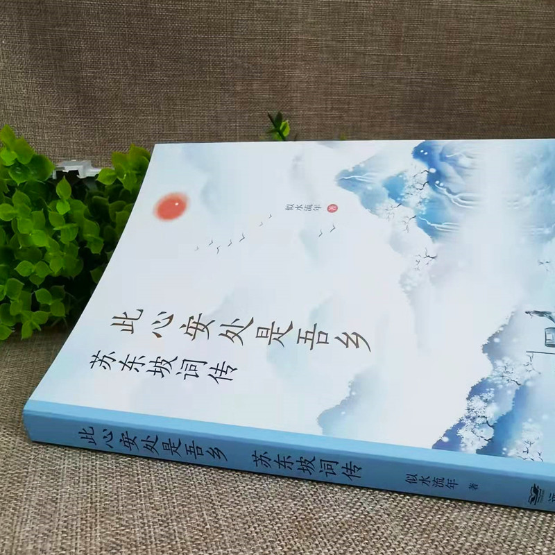 All 8 Volumes Su Dongpo Biography Li Bai Chuan Du Fu Chuan Xin Abandoning Verbs Biography Li ...