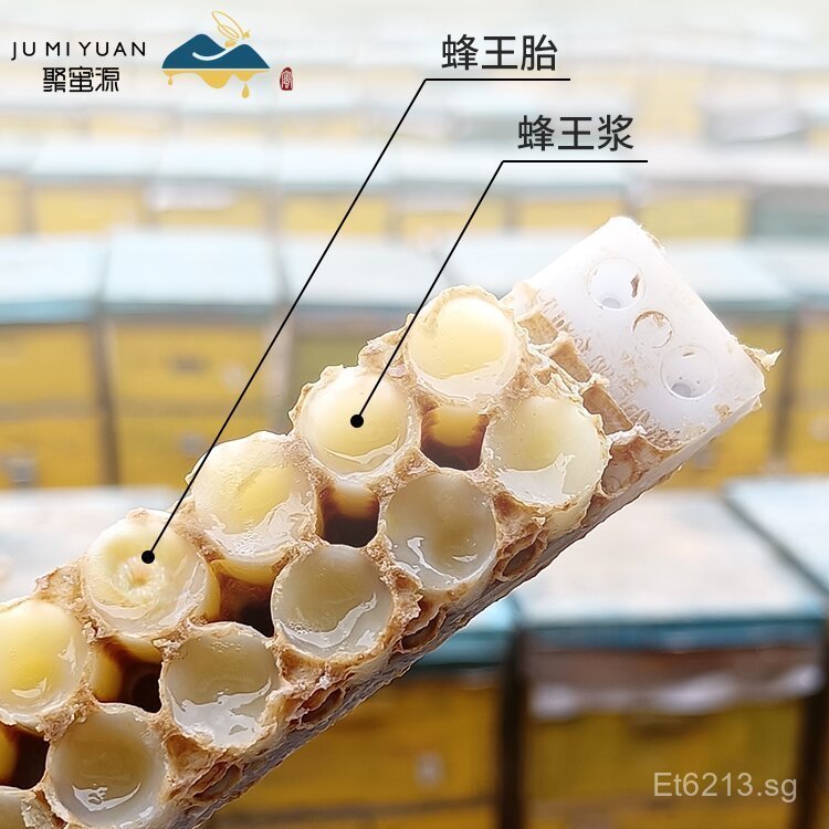 Factory Retail New Goods Farmhouse Self-Produced Source500g Honey ...