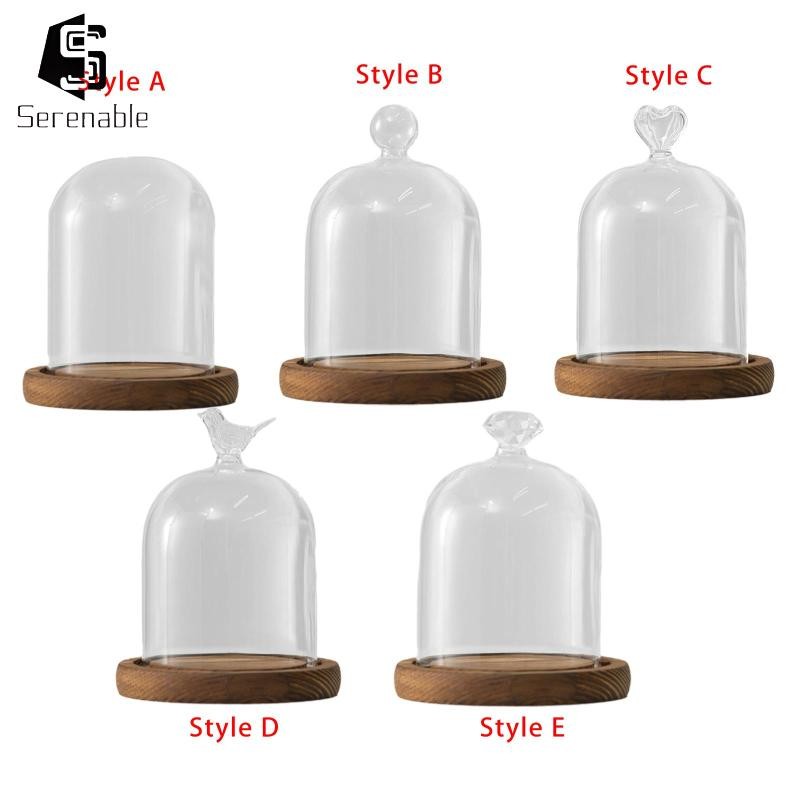 [Serenable] Glass Dome Cloche Bell Jar Tabletop Display Case Versatile ...
