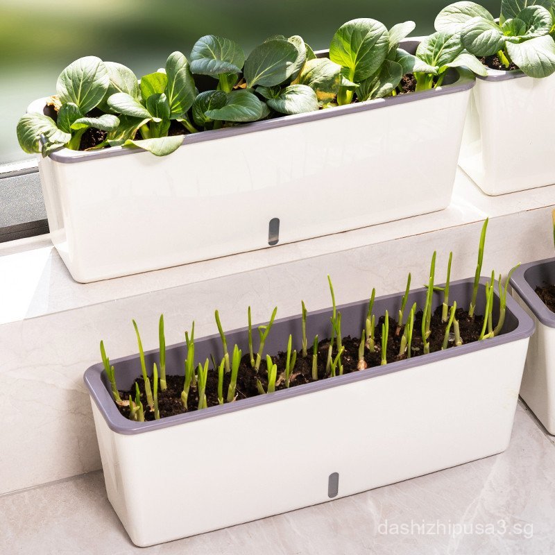Rectangular Narrow Flower Pot Balcony Vegetable Planter Long Strip ...