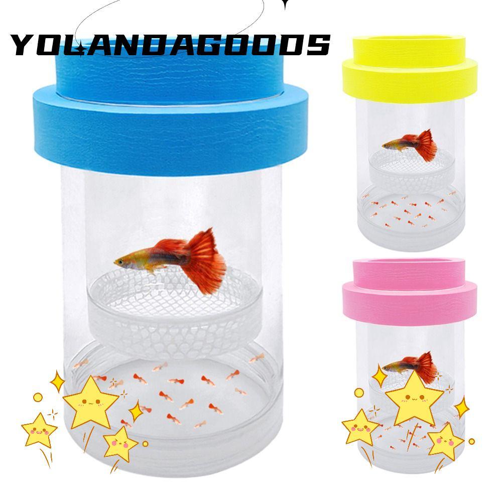 YOLA Floating Fish Breeding Isolation Box, Transparent Plastic Mesh ...