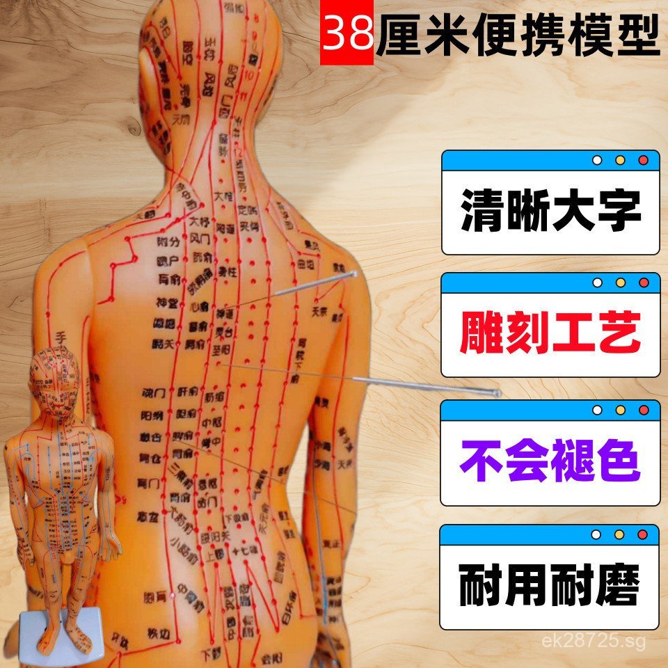 Acupuncture Needle Figure Full Body Human Body Can Twelve Meridians ...