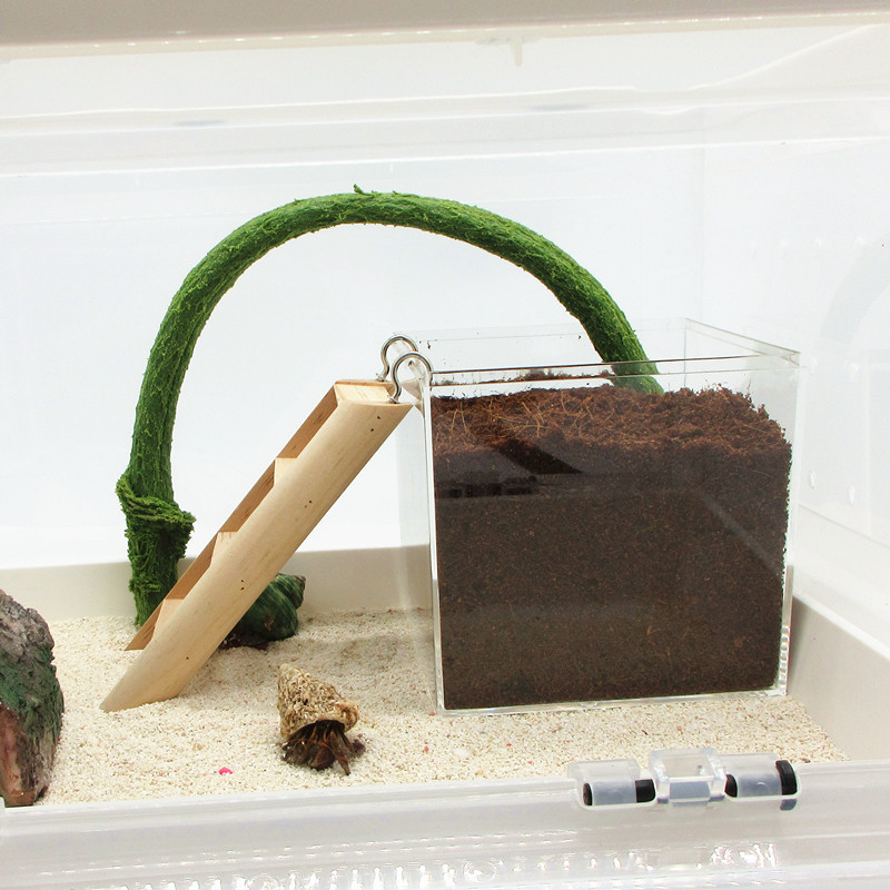 [Xiao ̅ Home] Free Coconut Soil Transparent Isolation Box ...