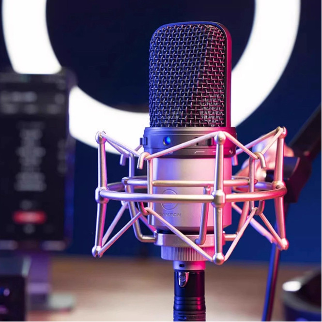Samson GT3 Professional Recording Condenser Microphone Cardioid Large ...