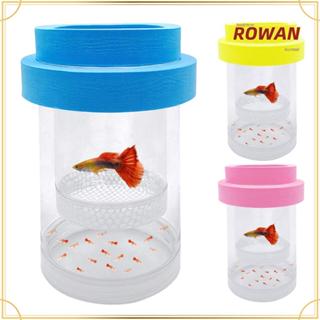 ROWANSG Floating Fish Breeding Isolation Box, Shrimp Guppy Aquarium ...