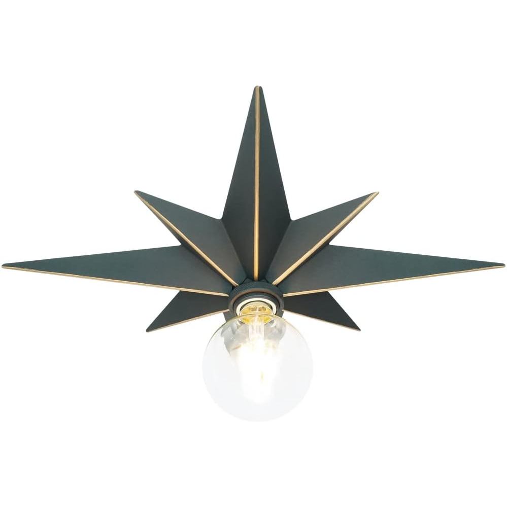 17.7inch Star Flush Mount Ceiling Light, Star Light Fixture for Kitchen ...