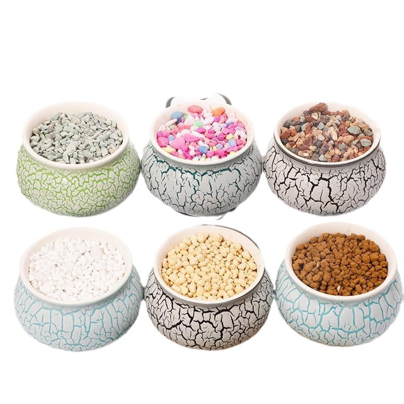 Gold Paved Stone Base Green Wheat Stone Succulent Plant Medium Pumice ...