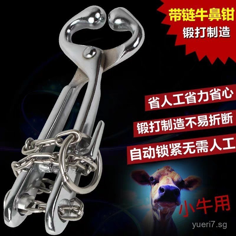 Precision Polished Bull Nose Pliers Stainless Steel Pliers with Chain ...