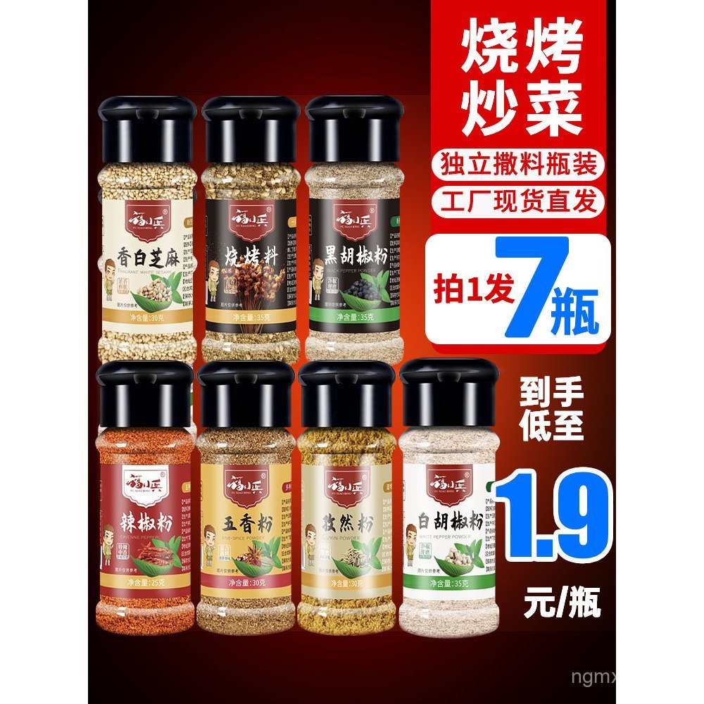 IQGV READY STOCK Zibo BBQ Seasoning Sprinkle Five-Spice Cumin Powder ...