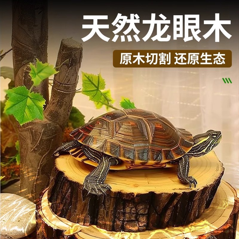 Turtle Natural Longan Wood Sunbathing Platform Turtle Tank Landscaping ...