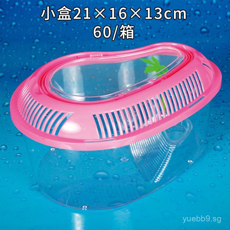 Small Portable Turtle Box Transparent Fish Tank Reptile Snail Pet ...