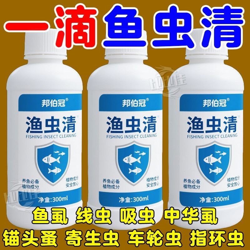 Insects In Seconds Fishing Insects Clear Ornamental Fish Inner Outer ...