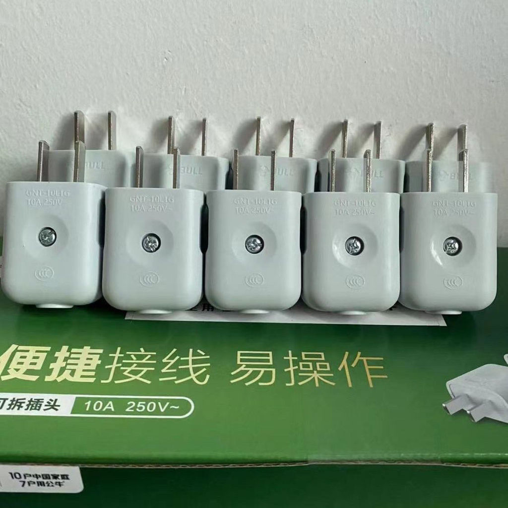 Bull New Style Plug 10A16 Ah Three-Pin Two-Pin Flat Plug Household ...