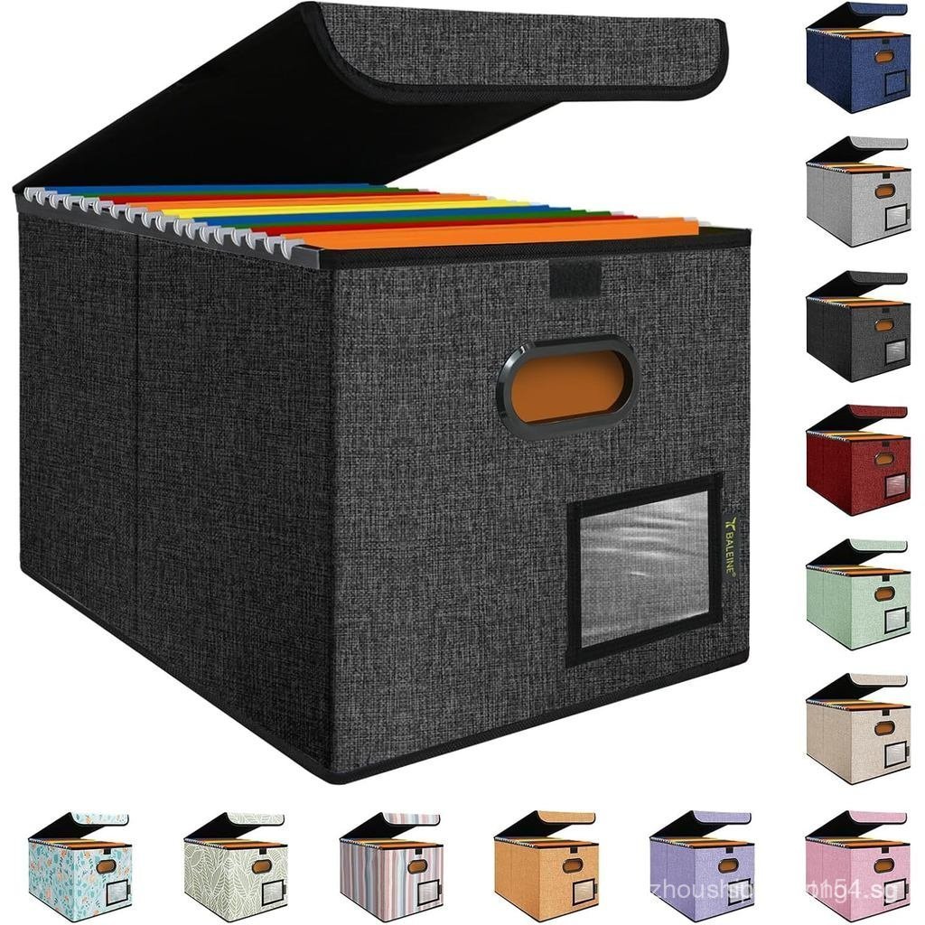 BALEINE File Organizer Box with Lid, Collapsible File Folder Organizer ...