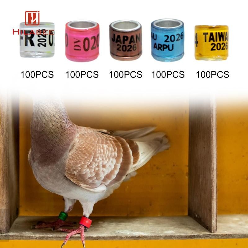 [UsusexaMY] 100 Pieces Aluminium Pigeon Leg Rings Identify Pigeon Bands ...