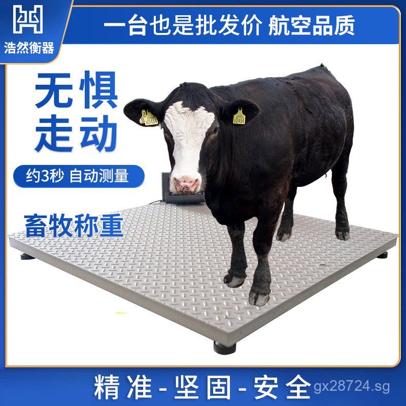 2Floor Scale1Scale3Stainless Steel Ton Cow Nanjing Ton Ton Logistics ...