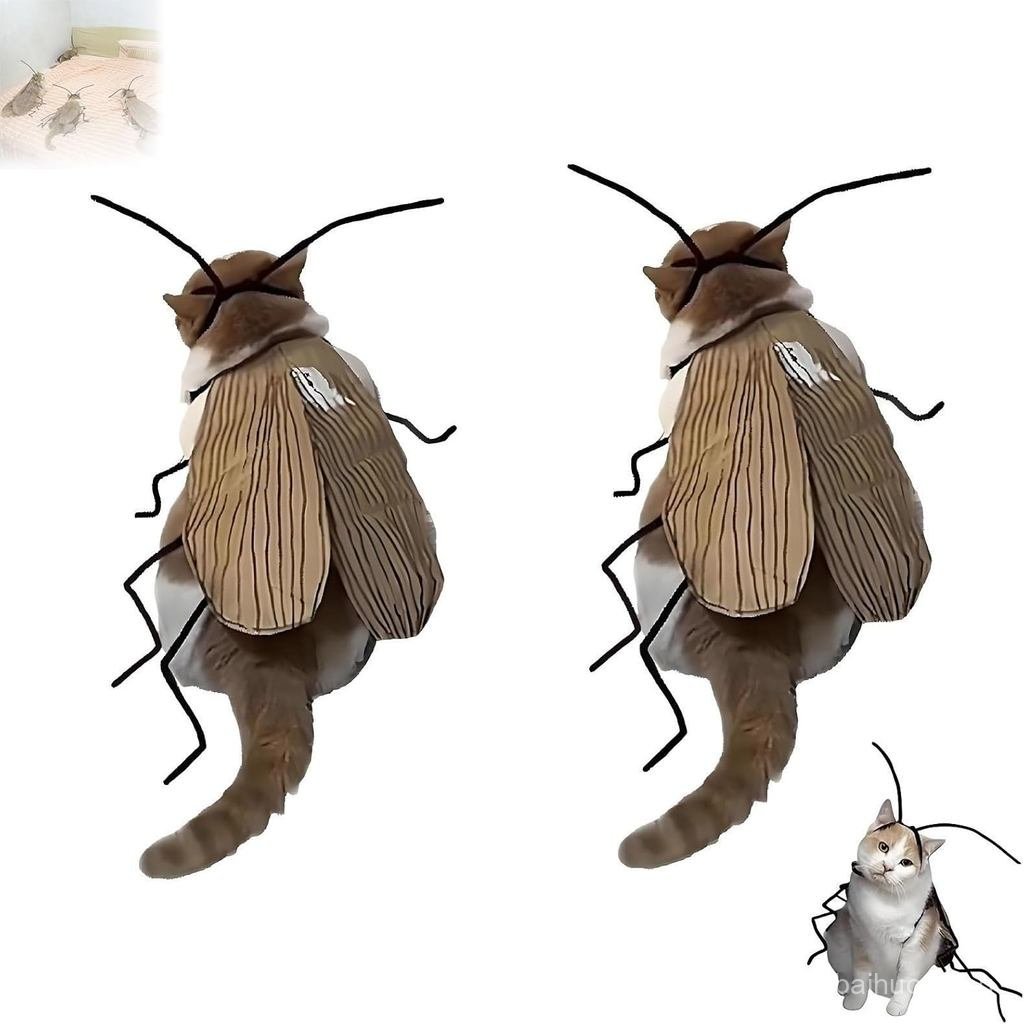 Cat Cockroach Clothing DIY Kit, Funny Cat Cape Craft Set, Kitten ...