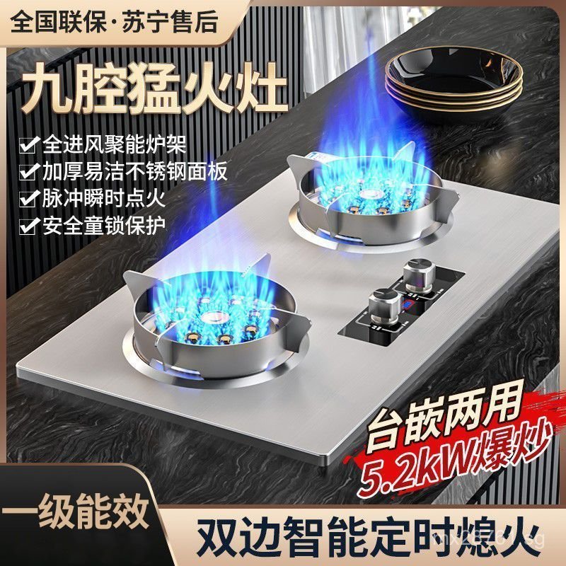 Timed Dual Burner High Power Liquefied Gas Stainless Steel Built-in Hob ...