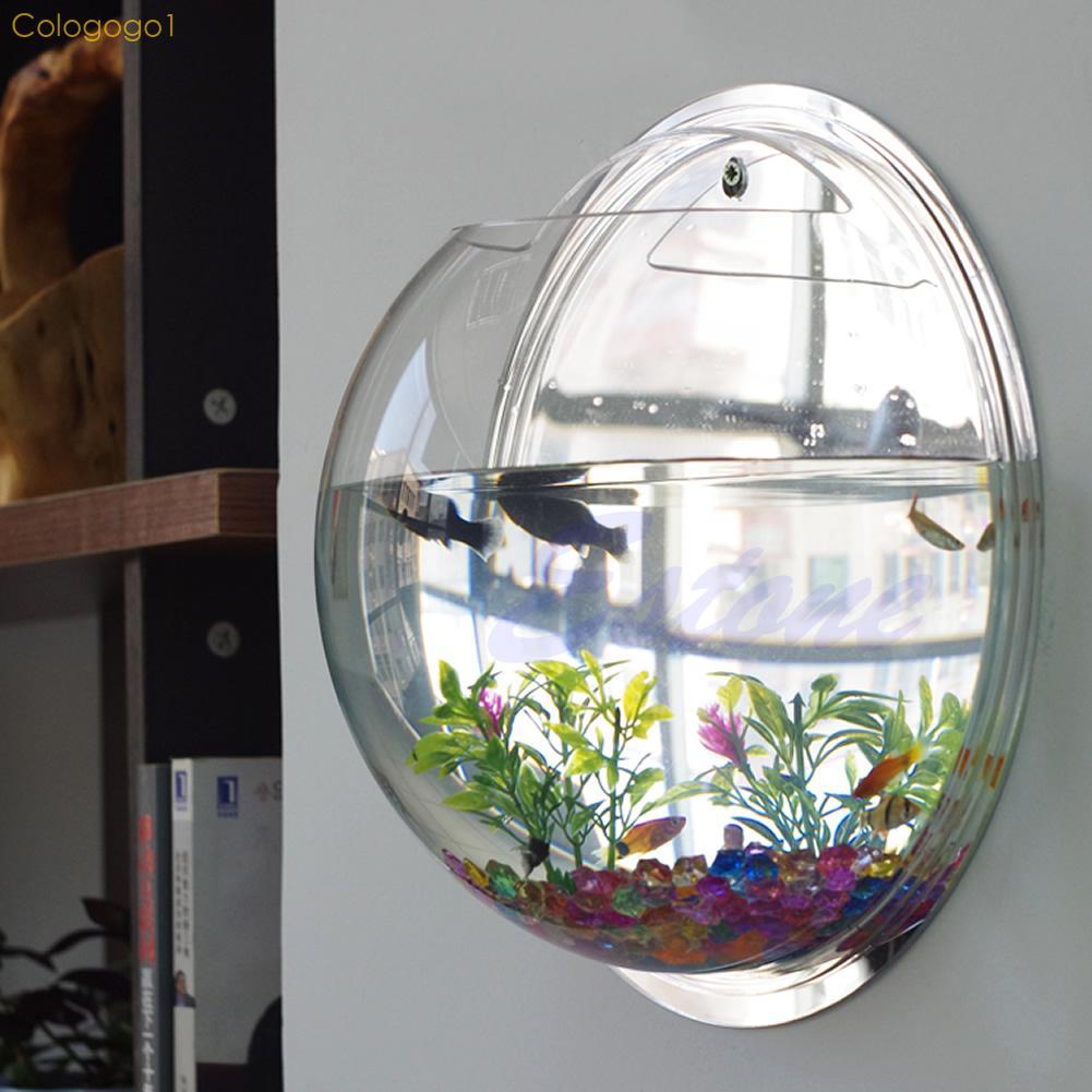 Cologogo1 Wall Mounted Fish Bowl Hanging Betta for Tank Aquarium Wall ...