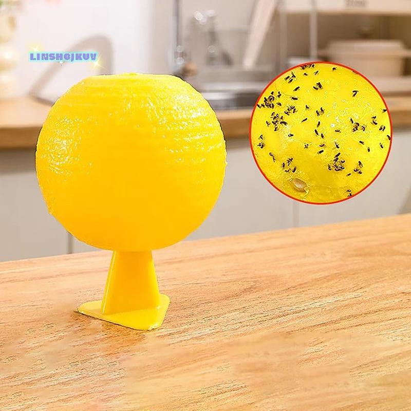 [Aus-t] Fruit Fly Traps Flying Insects Traps Ball Sticky Traps ...