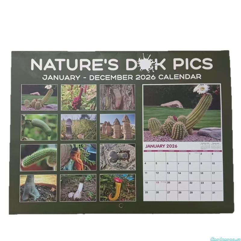 dingdongaa Funny greeting card - 2026 Fun Calendar 2026 Thick Paper ...