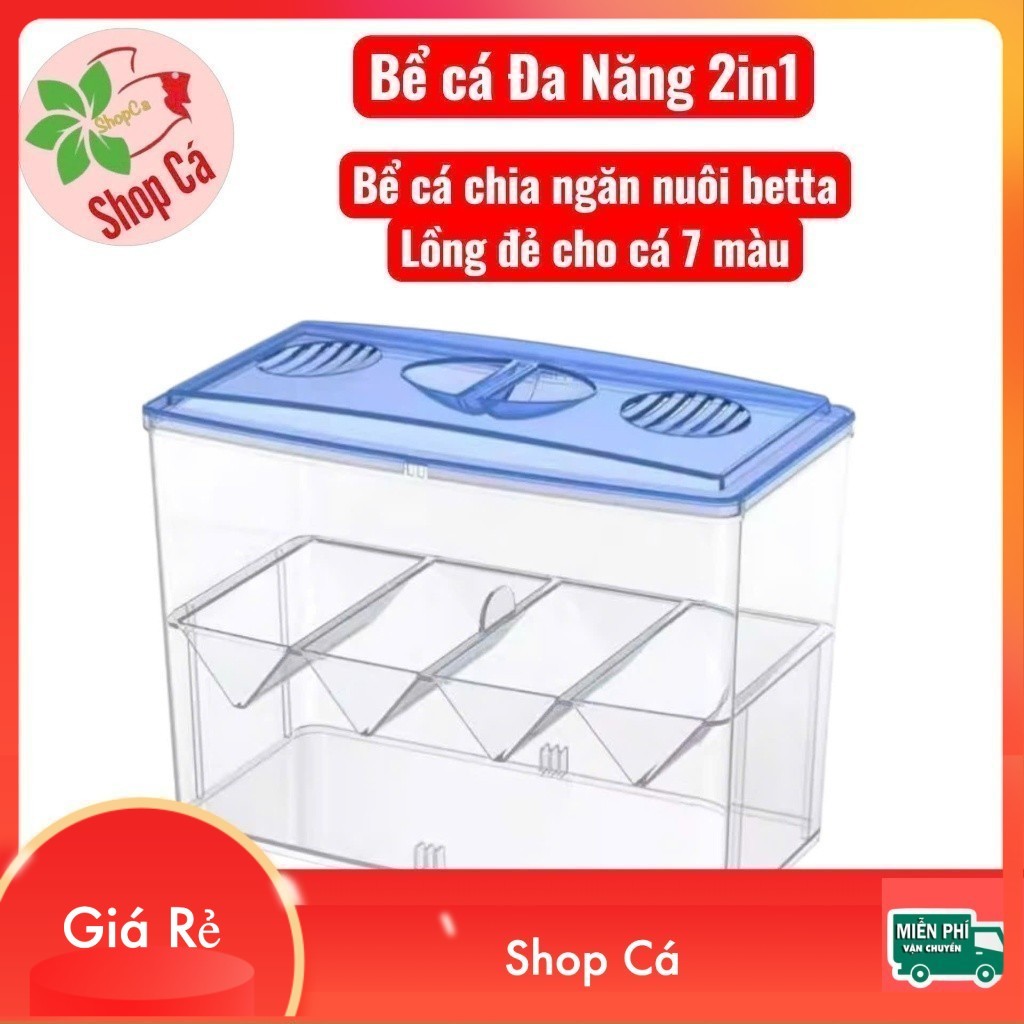 2-in-1 multi-purpose tank - Betta fish tank with dividers or 7-color ...
