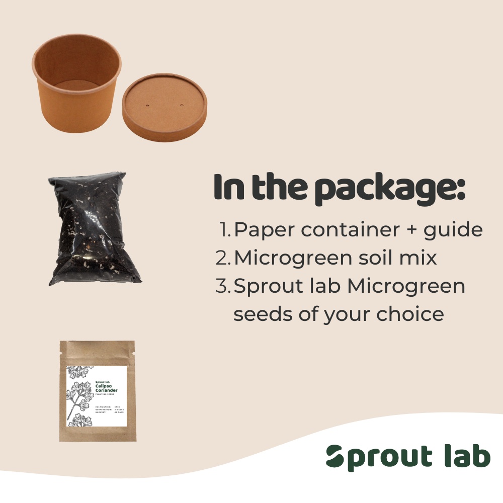 Sprout lab | Herb Paper Cup Grow Kit - Gift Set - Sweet Basil | Shopee ...