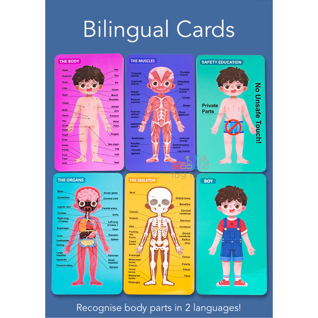 36pcs Wooden Kids Bilingual Body Structure Puzzle Box Set Early ...