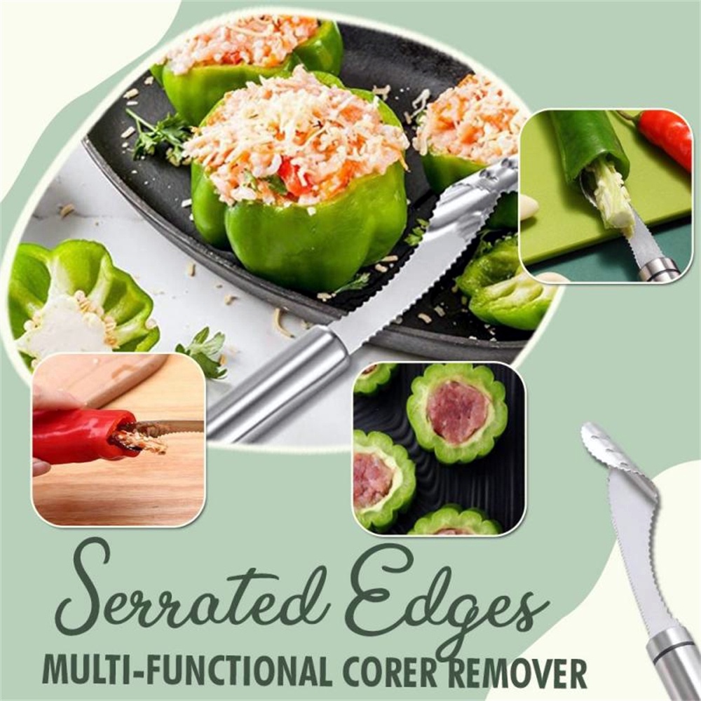 Stainless Steel Pepper Seed Remover Chilli, Bell Pepper Corer Tool ...
