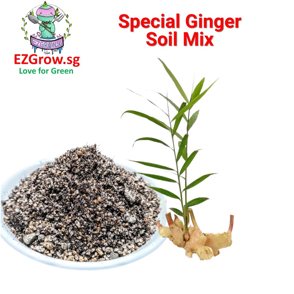 2L Super Drainage Ginger Soil Mix for Garden Planting | EZGrow.sg (SG ...