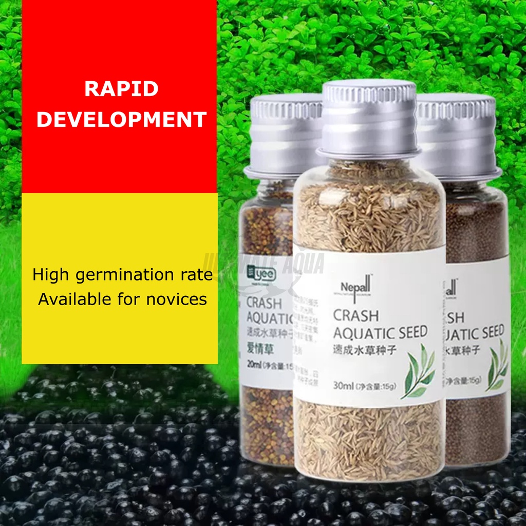 YEE Aquarium Plant Seed, Waterseed, Plant For Fish Tank, Easy To Plant ...