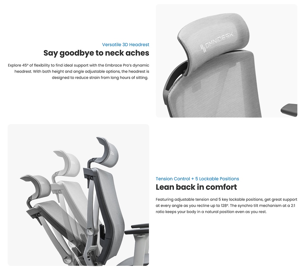 Omnidesk Embrace Pro - Ergonomic Office Chair | Shopee Singapore