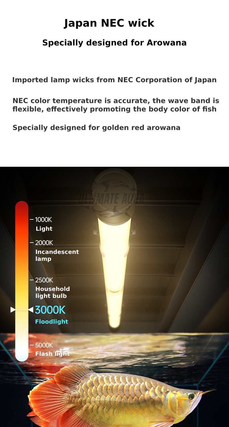Yee NEC Arowana Tanning Light, Aquarium Light, Body Color Booster ...