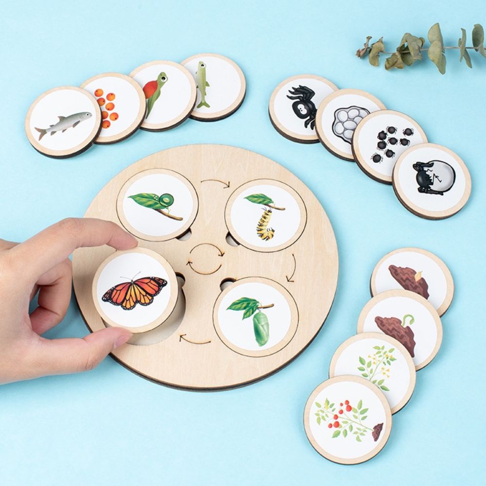 Tree year Montessori Life Cycle Puzzle Board Kit, Life Cycle Puzzle Kit ...