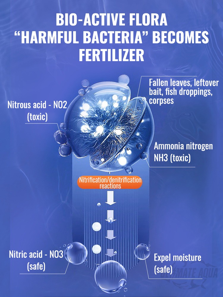YEE Aquarium Bacteria, Bio-Active Nitrifying Liquid & Beneficial ...