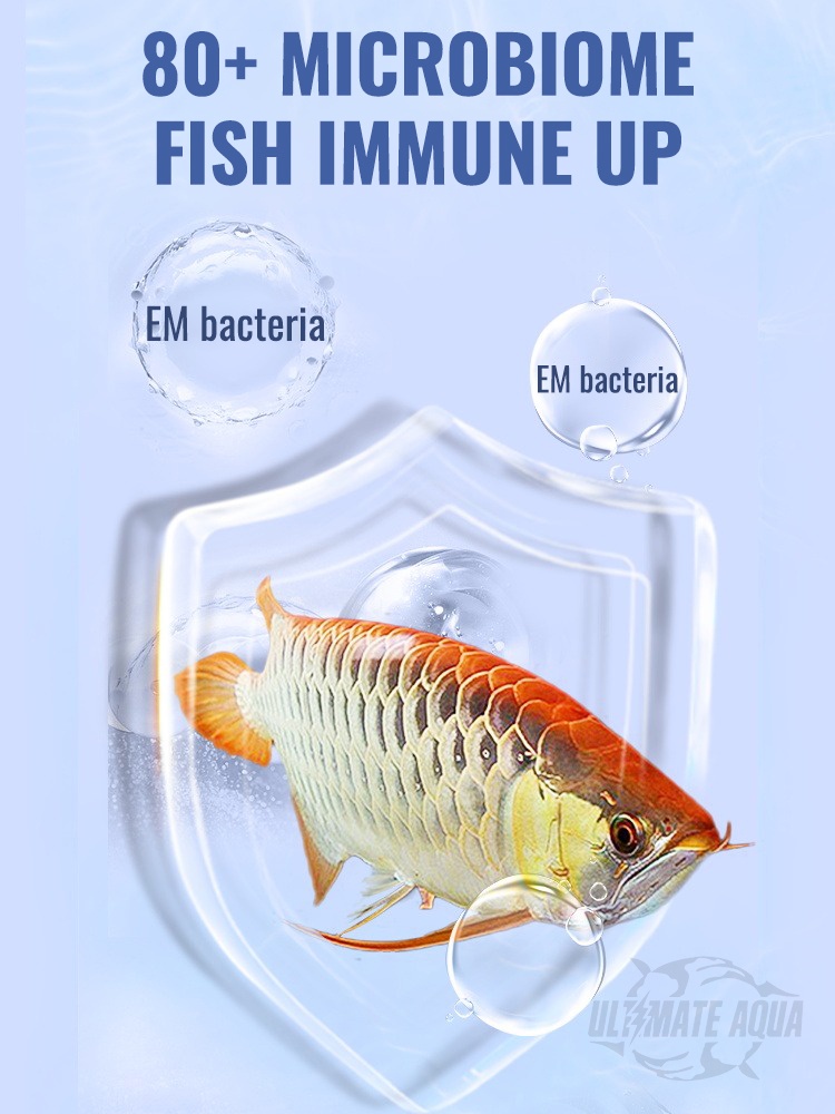 YEE Aquarium Bacteria, Bio-Active Nitrifying Liquid & Beneficial ...
