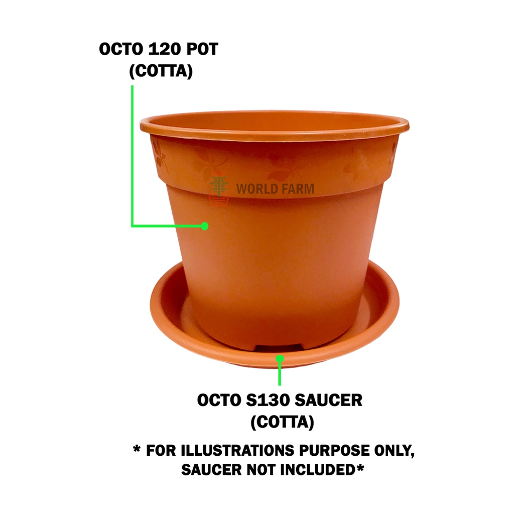 OCTO 120 Plastic Plant Pot, Black / Brown / Clear / Cotta / White (12cm ...