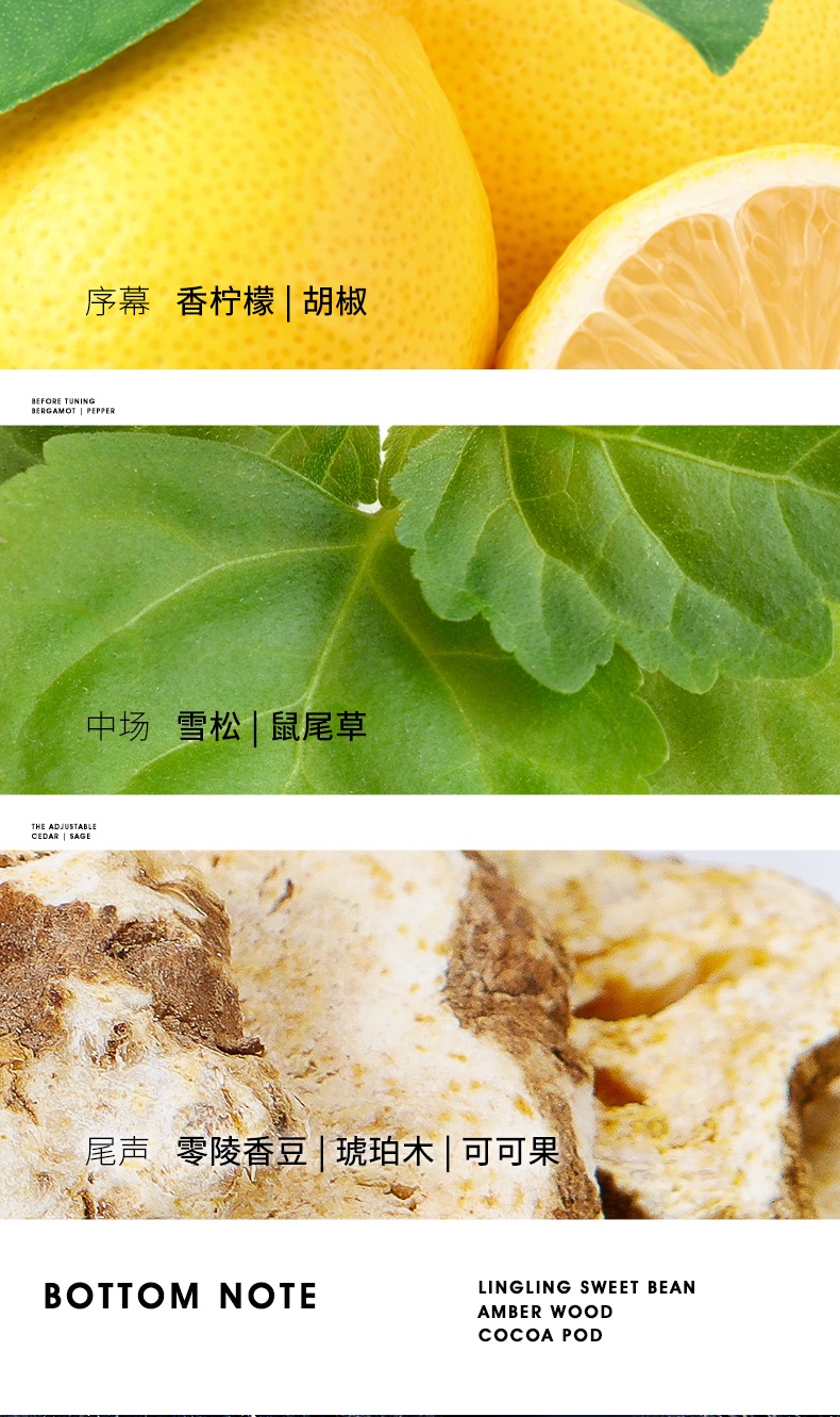 MAYCREATE Minyak Wangi 健美创研绅士古龙男士香水 Perfume Men Cologne 持久淡香蔚蓝东方木调 Long ...