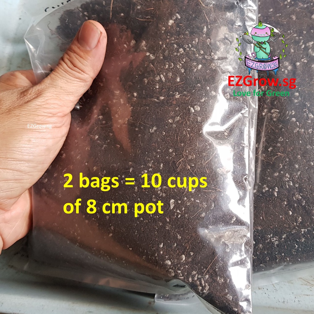 Succulent Potting Soil Mix | Cactus Soil Mix | Cacti Soil (fr SG ...
