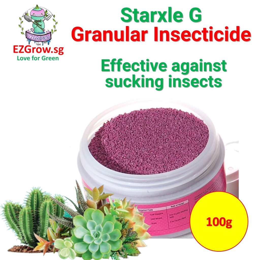 STARXLE G Systemic Insecticide Against Sucking Insects Environmentally ...