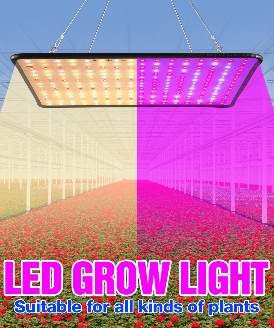 2000W Full Spectrum LED Grow Light Plant Led Quantum Board Phytolamp ...