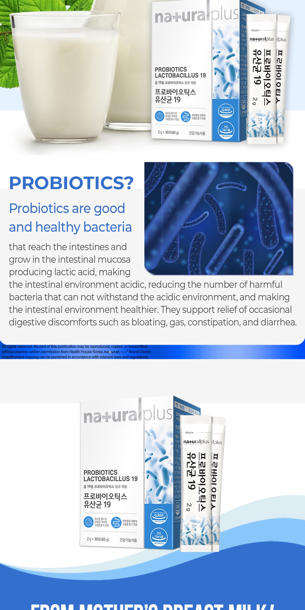 NATURALPLUS Korea Probiotics Lactobacillus 19 for Digestive, Immune ...