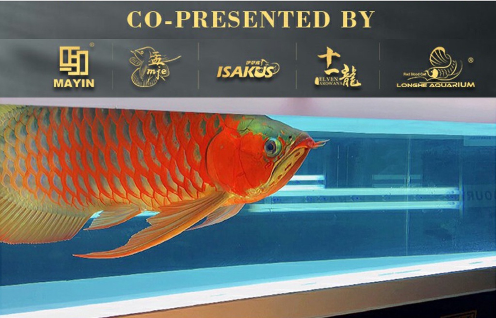 🔥Mayin Authorized seller🔥Mayin Super Atomic Tanning Light 13000k/2700k ...